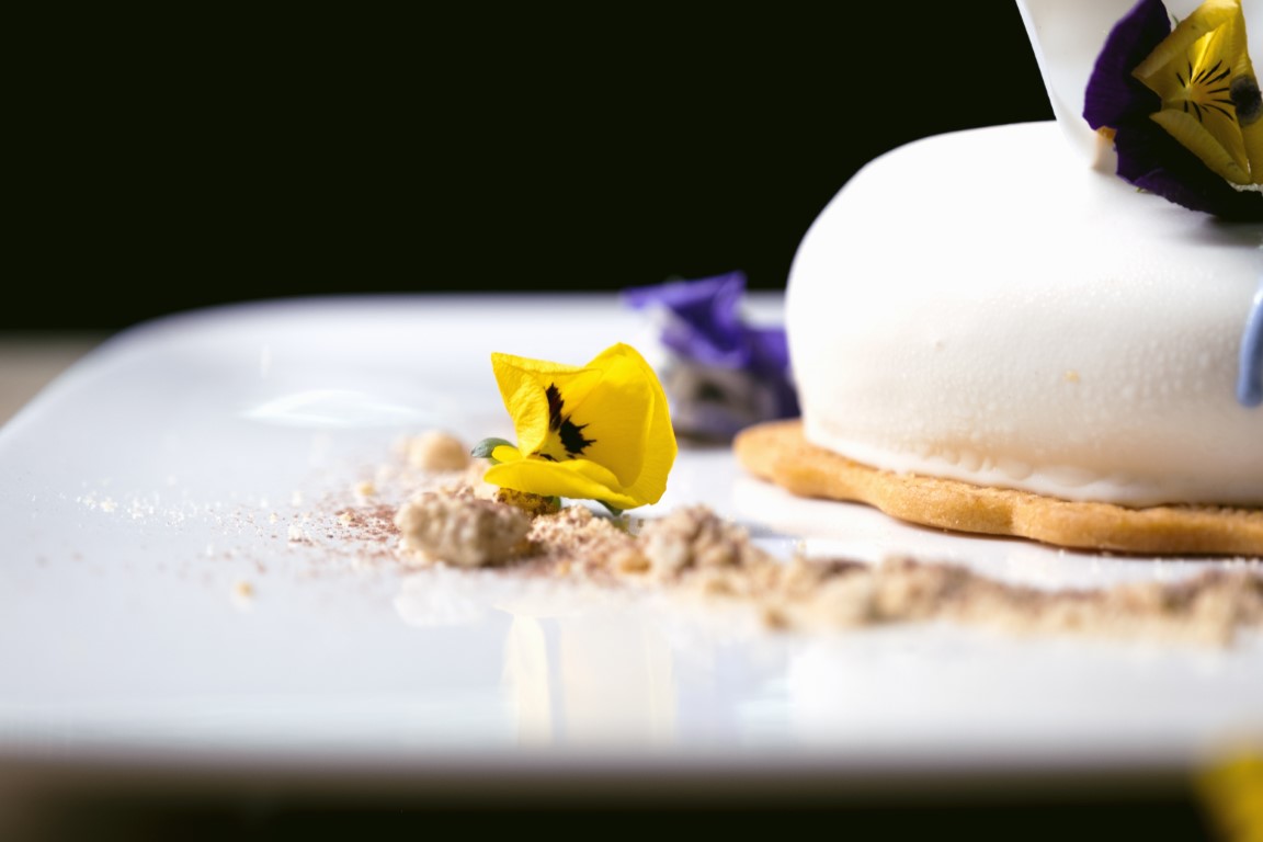 Cum folosim microplantele? - Microplante Cluj - Partener Hy-Farm ...